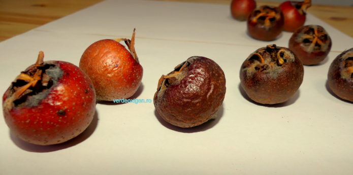 Mosmoanele, ultimele fructe ale anului: Ciudate dar extrem de gustoase ...